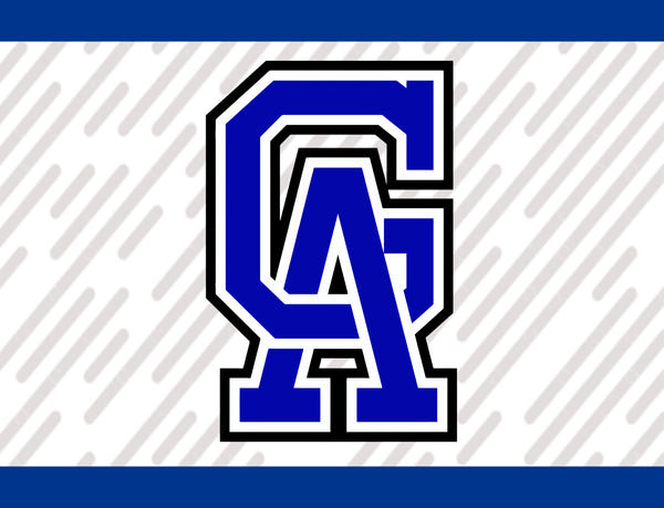 Blue Devils - Quarter - Team Feet Socks 🧦