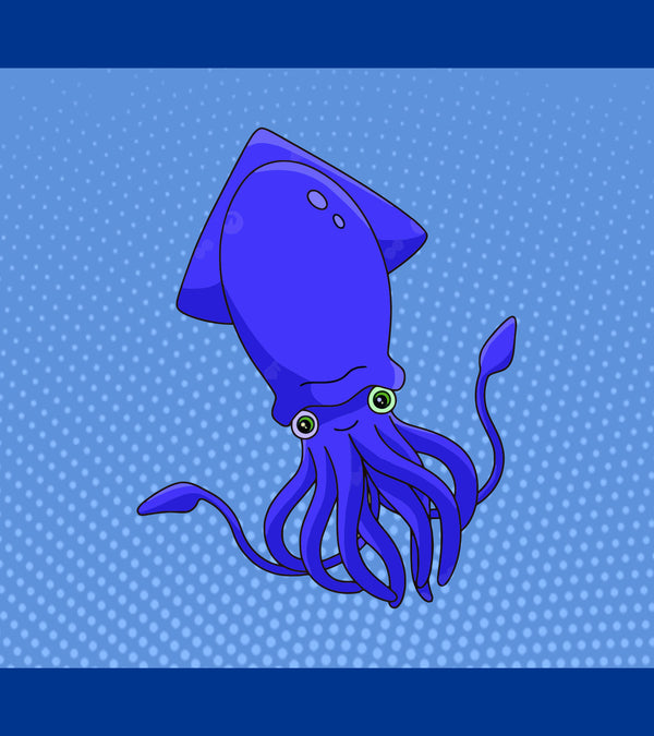 SQUIDDIES - MID - Team Feet Socks 🧦