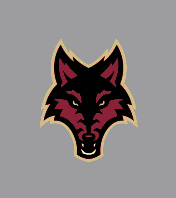 Yotes - MID - Team Feet Socks 🧦